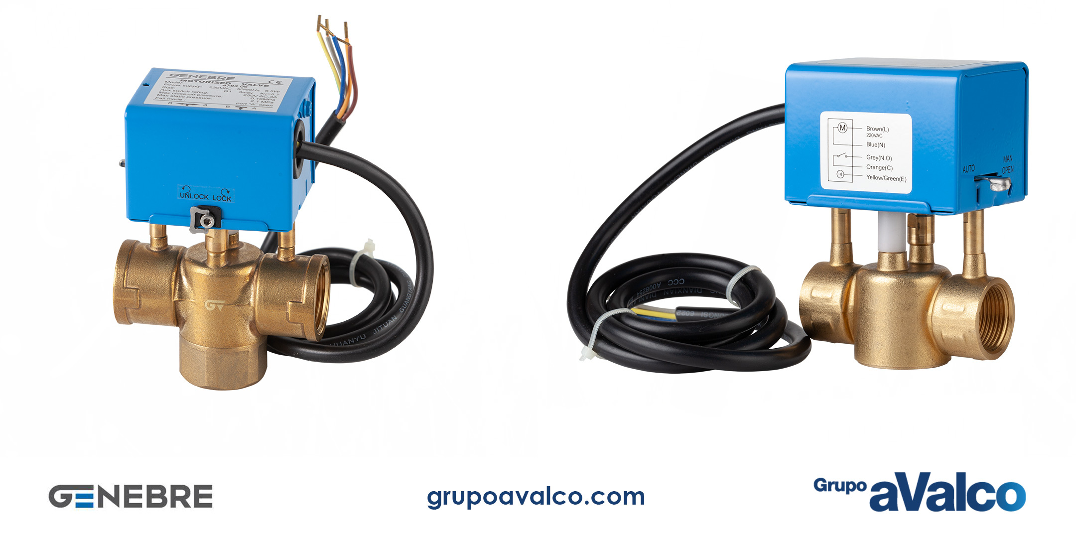Valvulas De Zona Monitorizadas De Genebre • Grupo Avalco